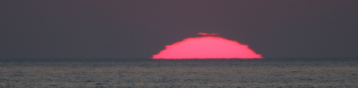 cropped-IMG_38078e-Sunset_Empire-MI.jpg – Grand Traverse Audubon Club